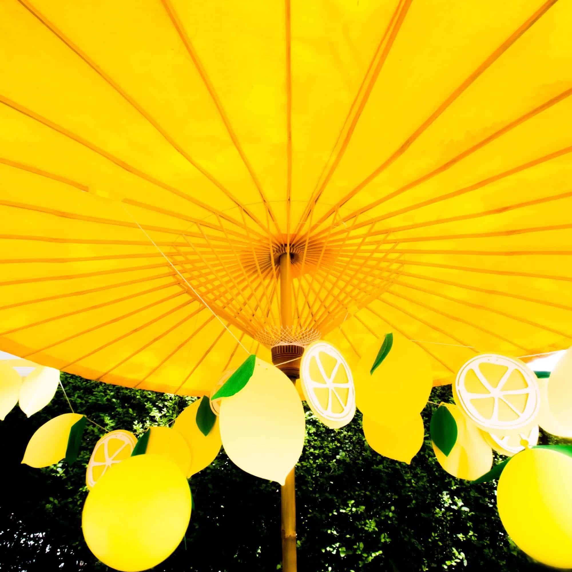 Camp Darcy: Balloon Crafts and Games | Darcy Miller Designs