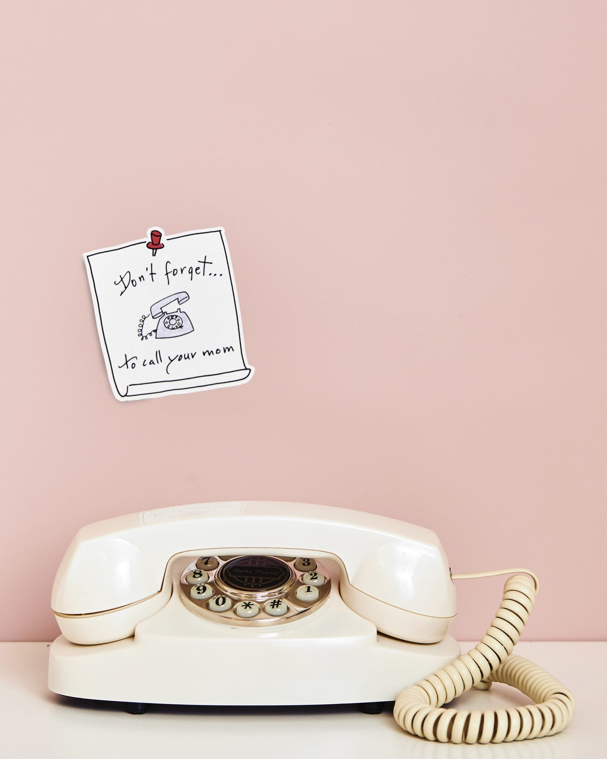 Darcy Miller x Chasing Paper Wall Decals | Darcy Miller Designs