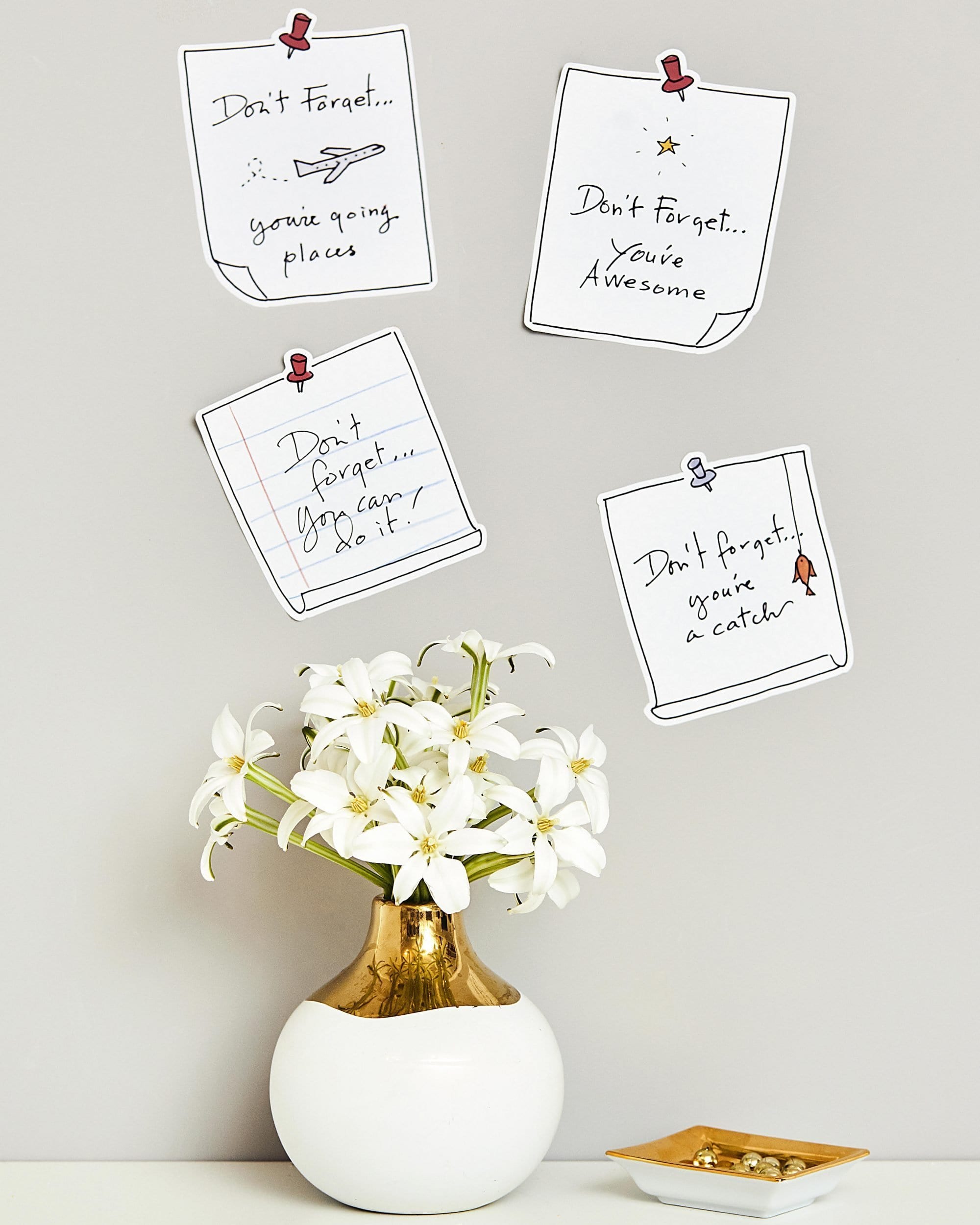 Darcy Miller x Chasing Paper Wall Decals | Darcy Miller Designs