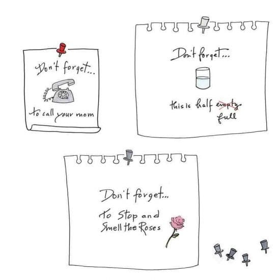 Darcy Miller x Chasing Paper Wall Decals | Darcy Miller Designs