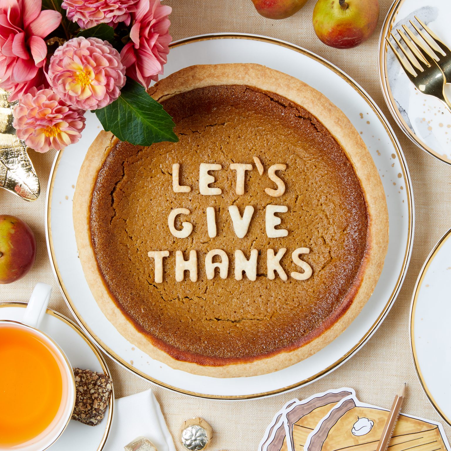 Darcy Miller Designs — Ideas, Illustration, Bookshop, Appearances