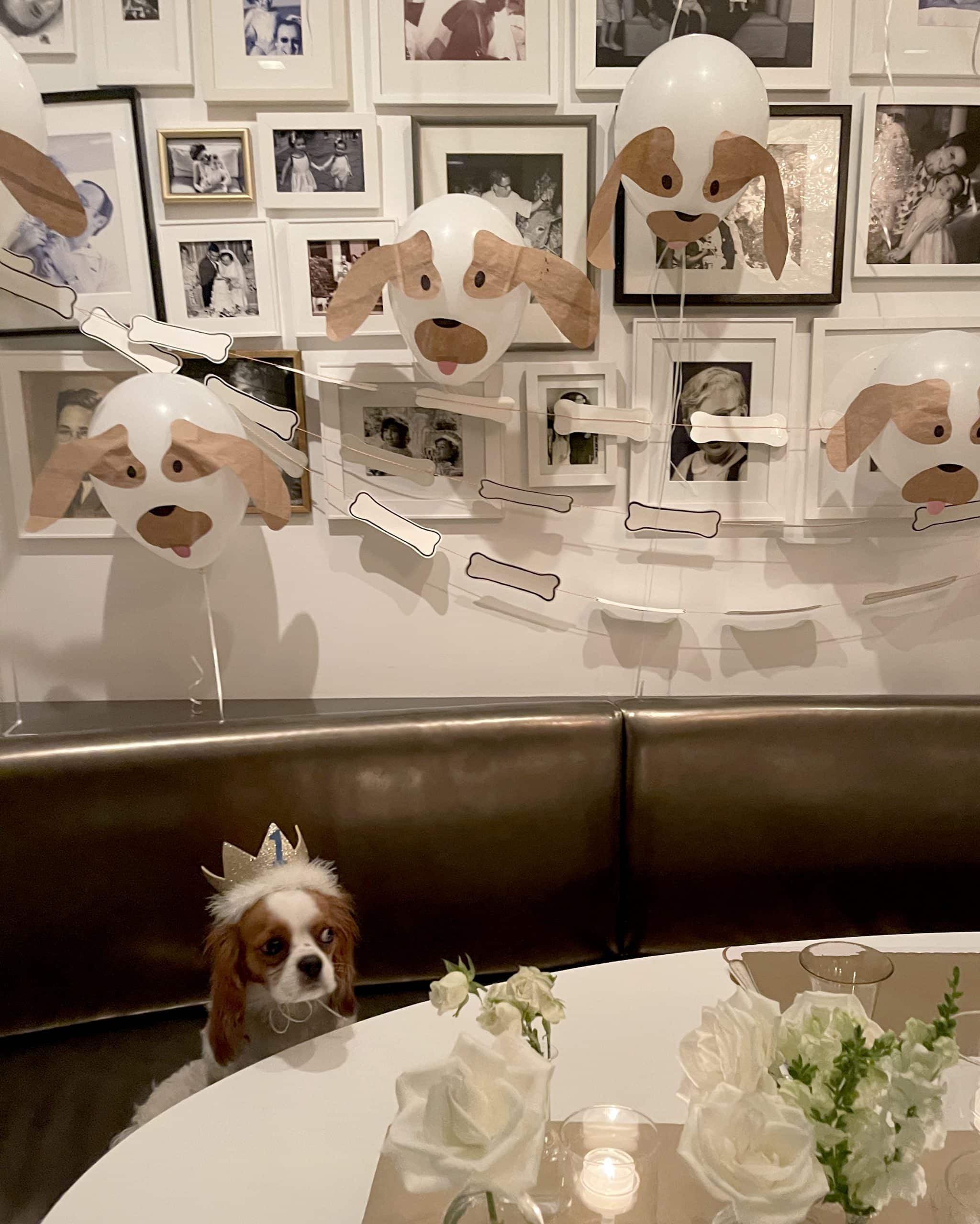 A Dog Birthday Party! | Darcy Miller Designs